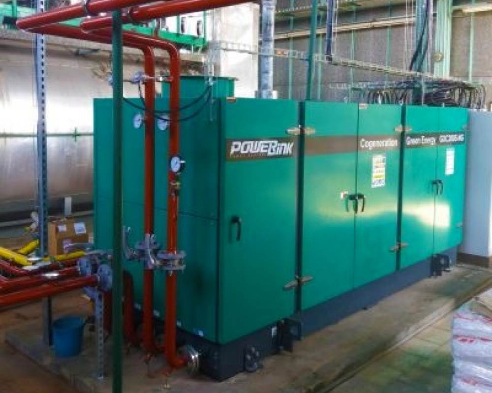 200KW BIOGAS POWER GENERATION PROJECT - PowerLink Global Site Premium ...