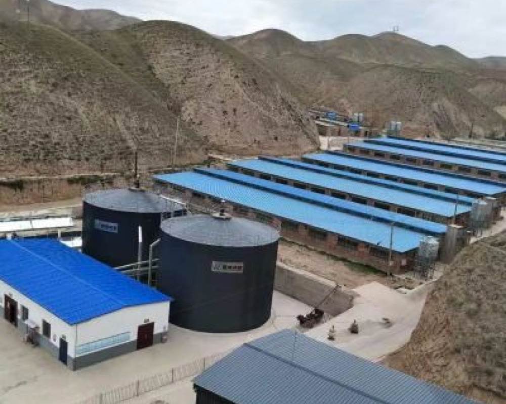 500KW BIOGAS POWER GENERATION PROJECT - PowerLink Global
